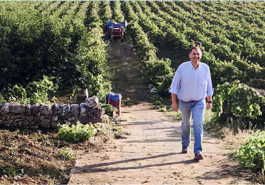 Se udvalget af vinene fra Cantine Miali her: - Gribskov Vinimport